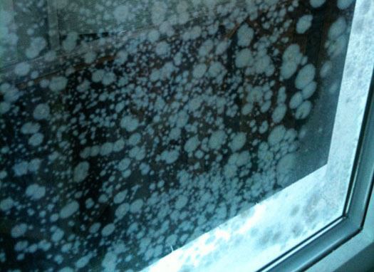 Causes of Mold On Glass - Blog - Qingdao Migo Glass Co.,Ltd